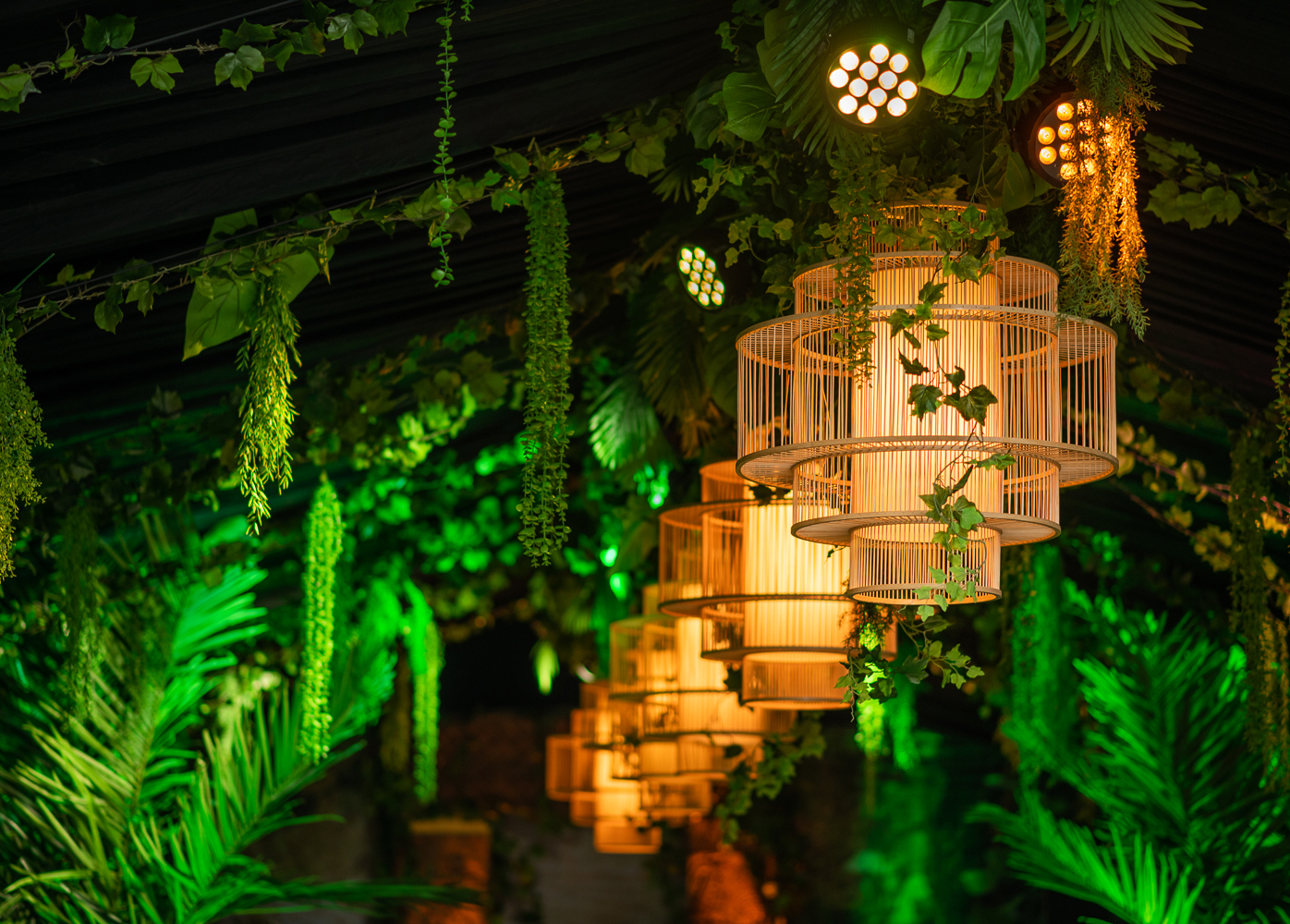 Phenomenon Events presents jungle theme at Coogee Chemicals, December ...