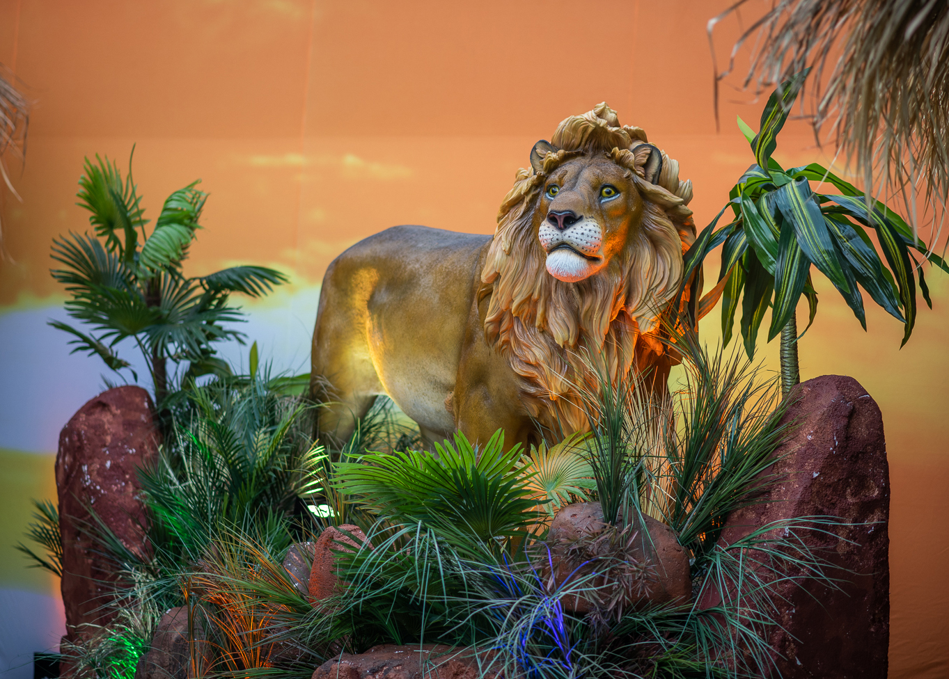 Phenomenon Events presents jungle theme at Coogee Chemicals, December ...